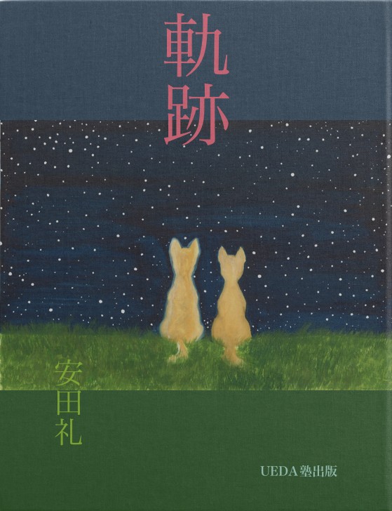 BCCKS / ブックス - 『軌跡』安田礼著