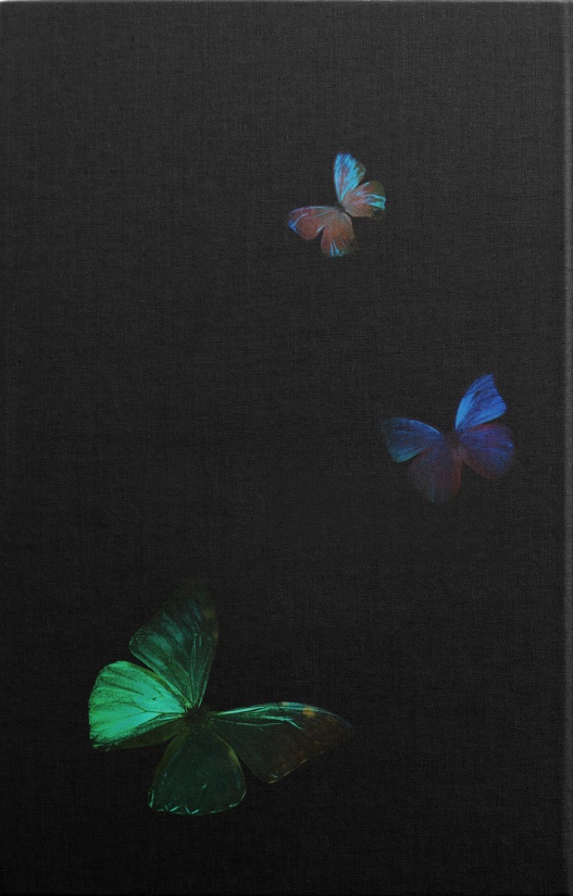 BCCKS / ブックス - 『影』山口貴之著