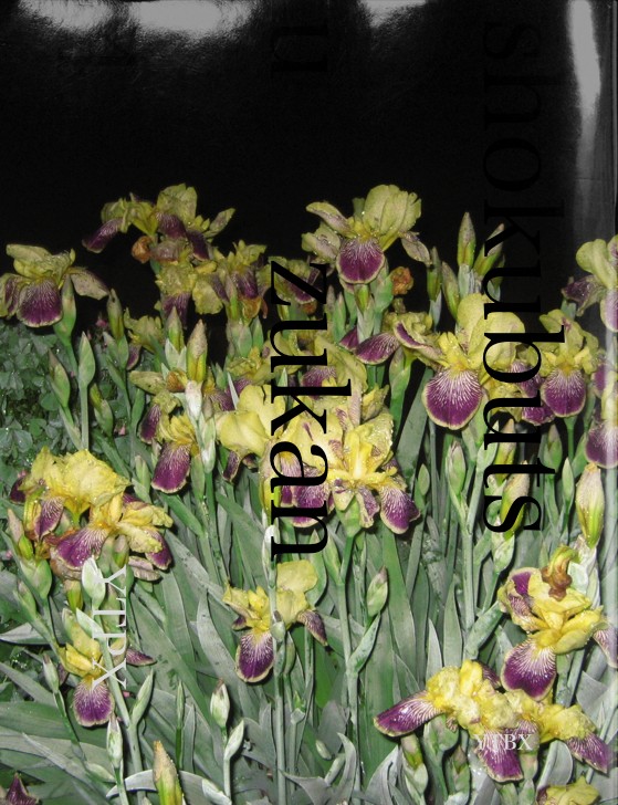 BCCKS / ブックス - 『shokubutsu zukan 4』YTPX著