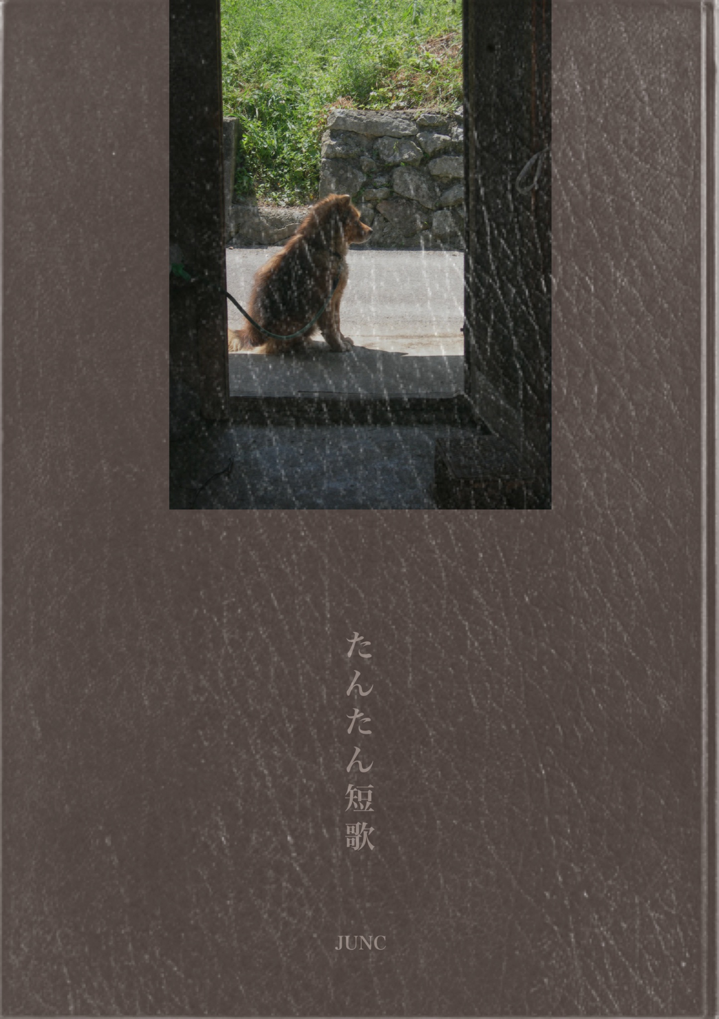 BCCKS / ブックス - 『たんたん短歌』JUNC著