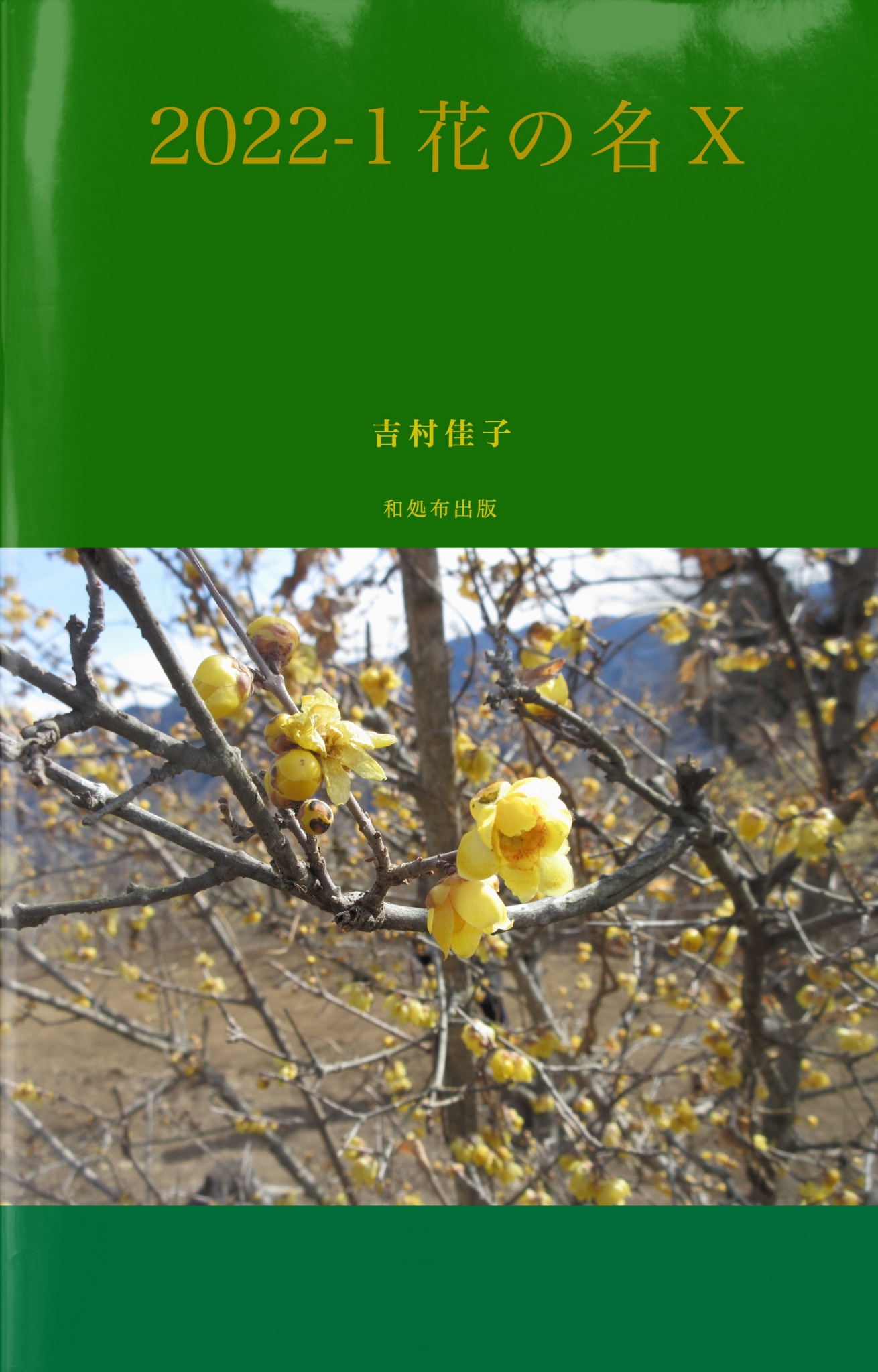 BCCKS / ブックス - 『2022-1 花の名X』吉村佳子著