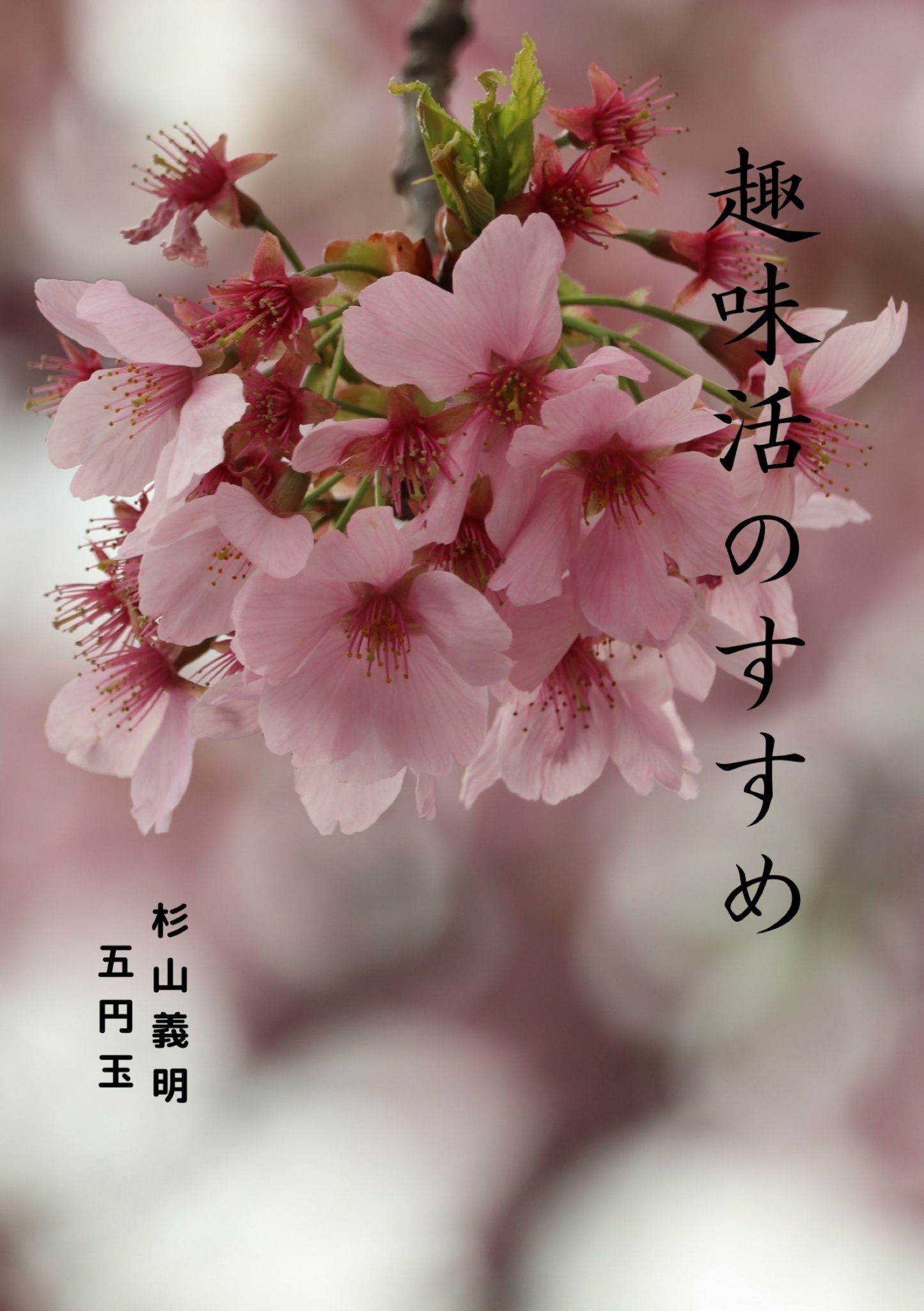 BCCKS / ブックス - 『趣味活のすすめ』杉山義明 五円玉 著