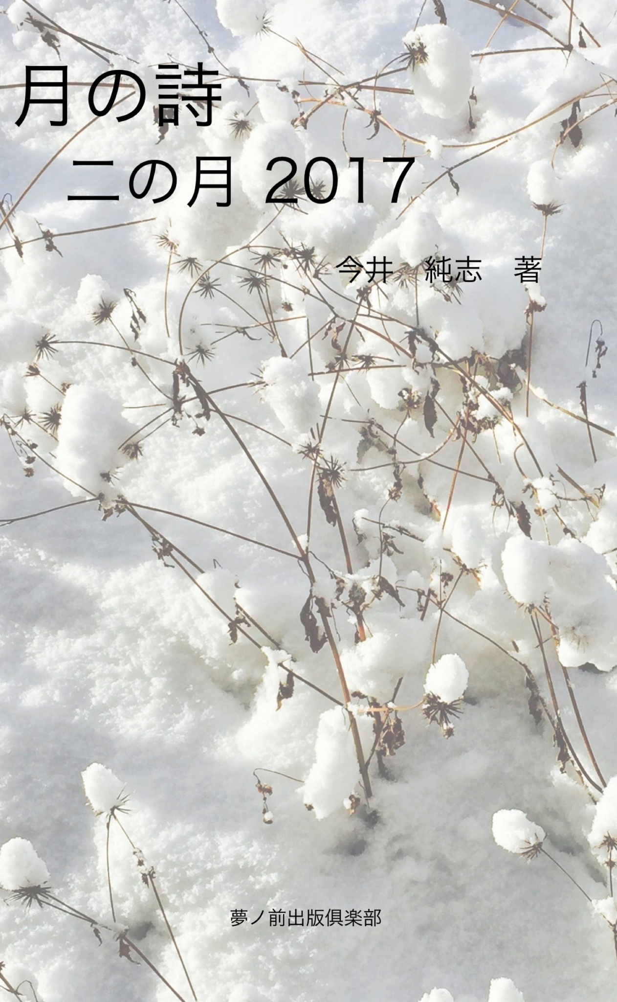 BCCKS / ブックス - 『月の詩 二の月 2017』今井 純志著