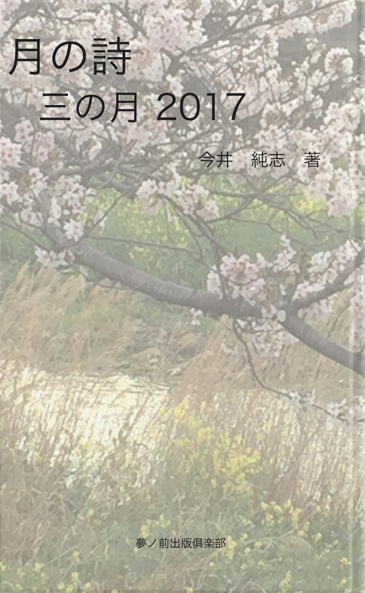 BCCKS / ブックス - 『月の詩 三の月 2017』今井 純志著