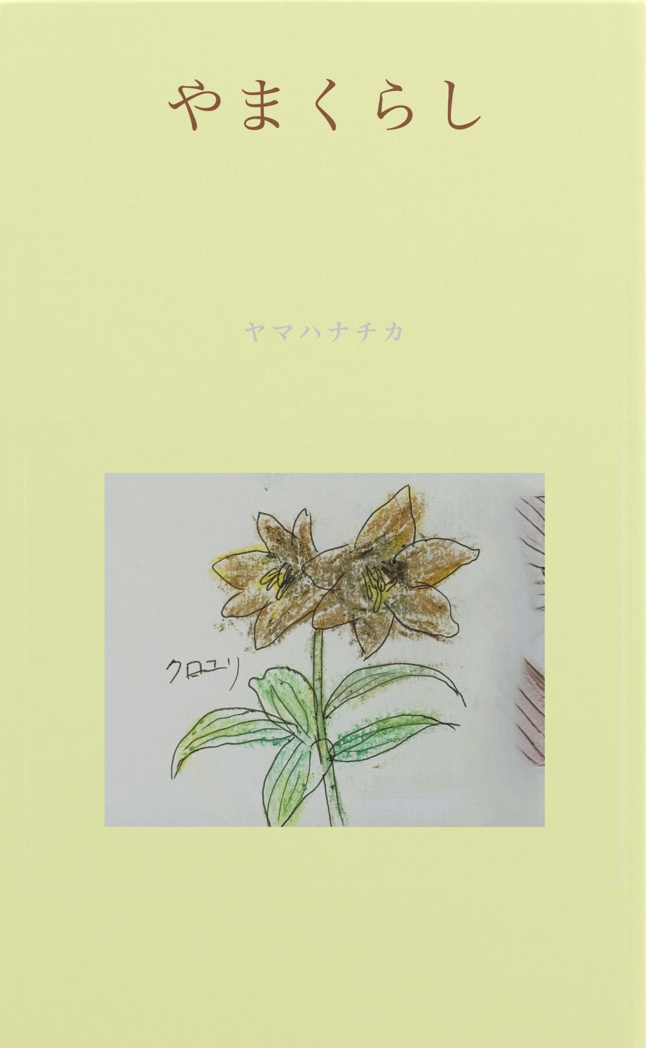 BCCKS / ブックス - 『やまくらし』ヤマハナチカ著